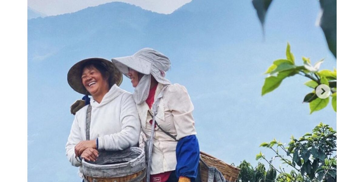 Farmountain Coffee Manor - Farmountain